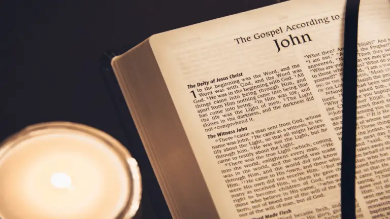 The Red Letter Scriptures of Jesus in John (KJV)